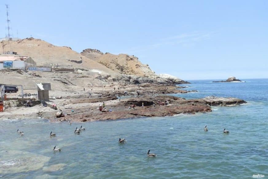 AlemaPE-Tours | Chala